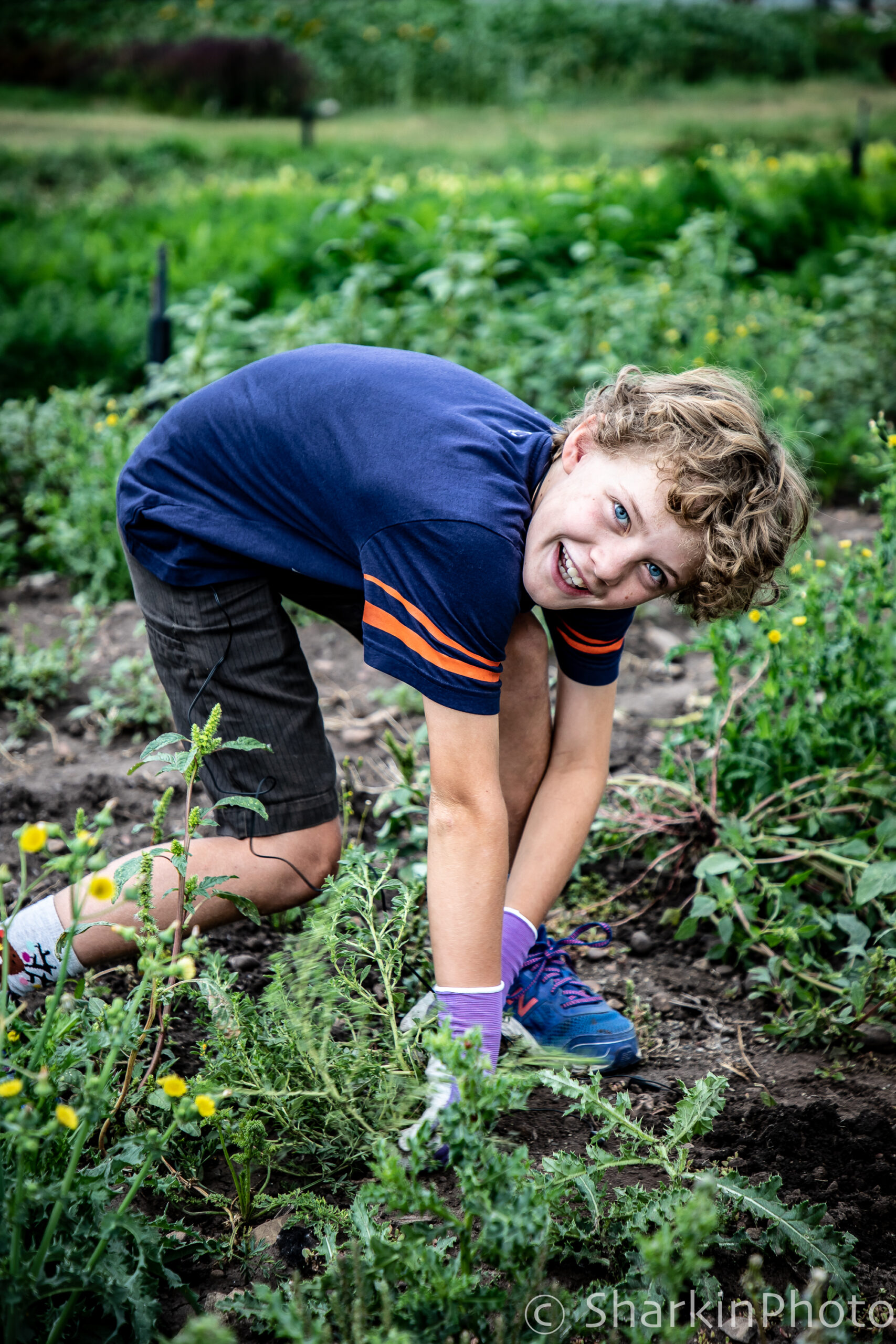 Copper Moose Farm - Park City, UT - Dig In Consulting