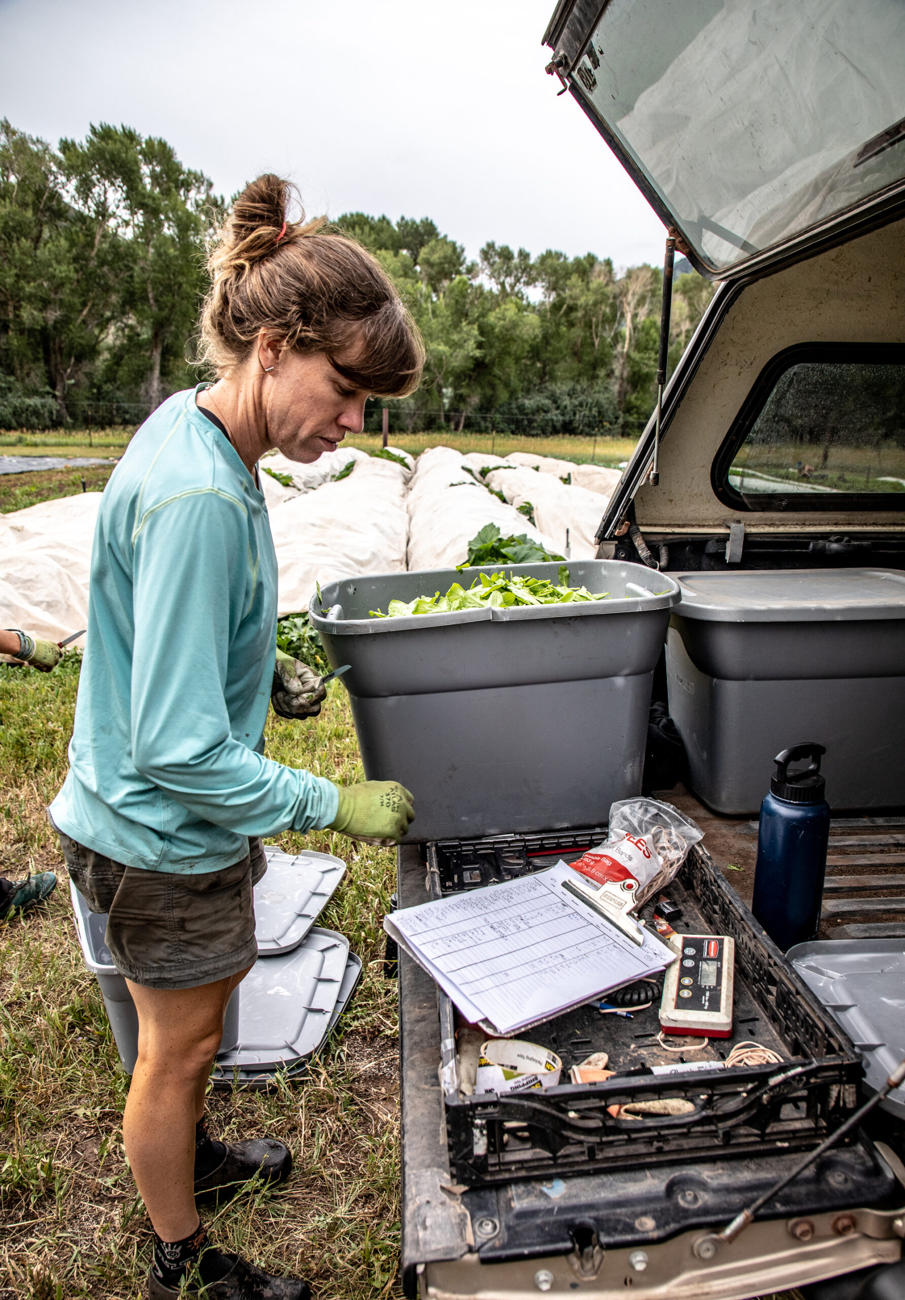 About - Dig In Consulting